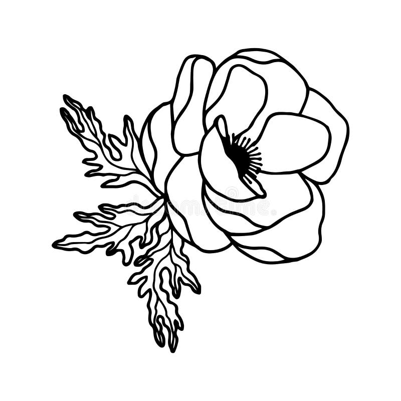 Anemone Flower. Vector Stock Illustration Eps10. Isolate on White ...