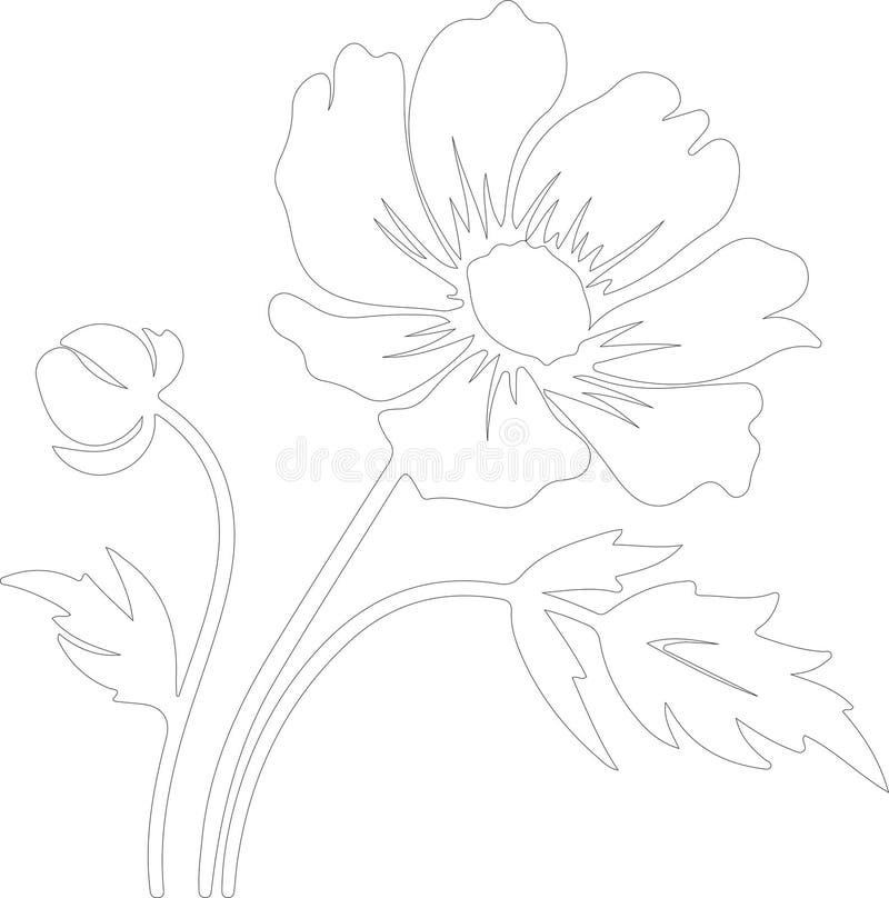 Anemone Outline Silhouette Generative Ai Stock Vector - Illustration of ...