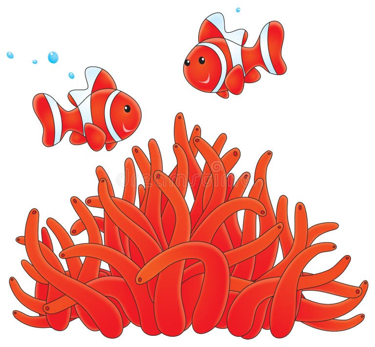 Cartoon Actinia Stock Illustrations – 441 Cartoon Actinia Stock ...
