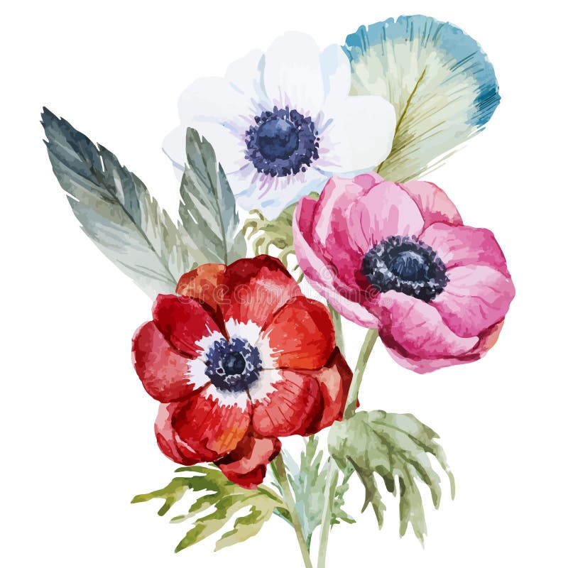 Anemones stock vector. Illustration of feather, indian - 51278480