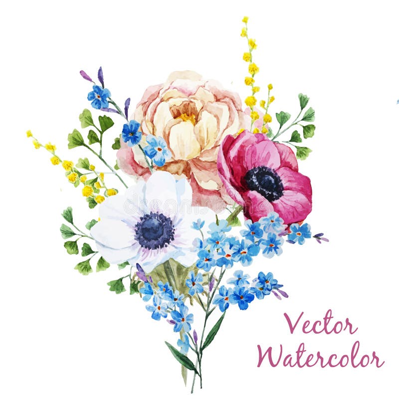 Anemones stock vector. Illustration of feather, indian - 51278480