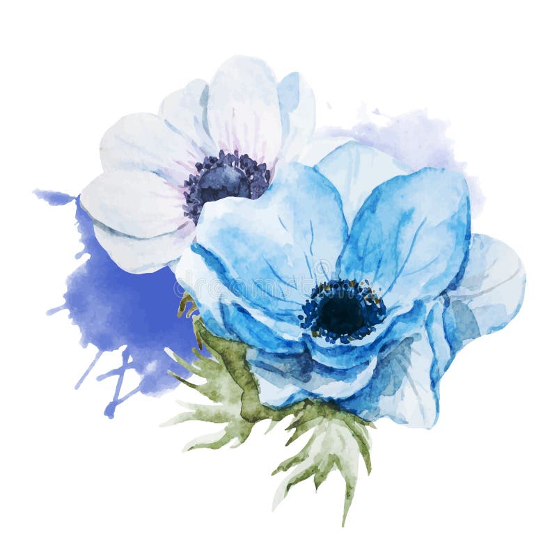 Anemones stock vector. Illustration of feather, indian - 51278480