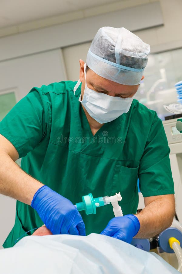 Physician Watching Operation Stock Image - Image of injury, care: 2241535