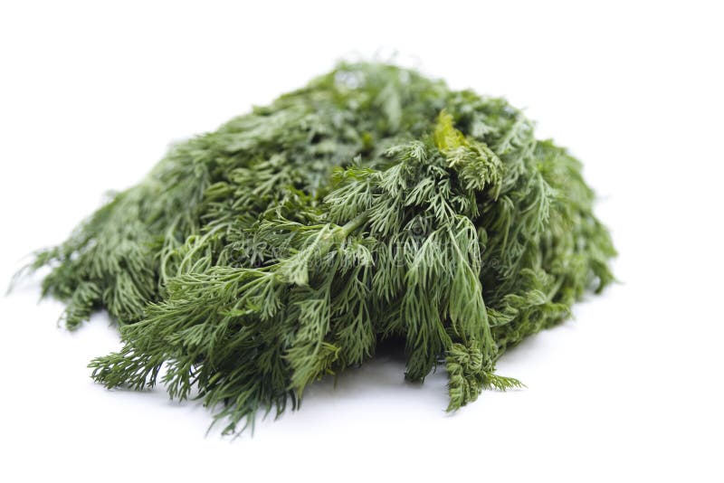 Aneto verde fresco foto de stock. Imagem de branco, ervas - 30295106