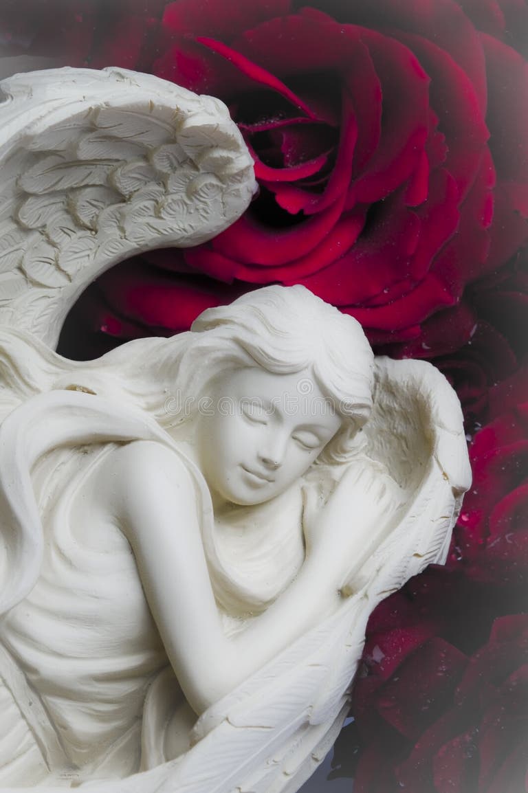 4,129 Angel Rose Watercolour Stock Photos - Free & Royalty-Free Stock ...