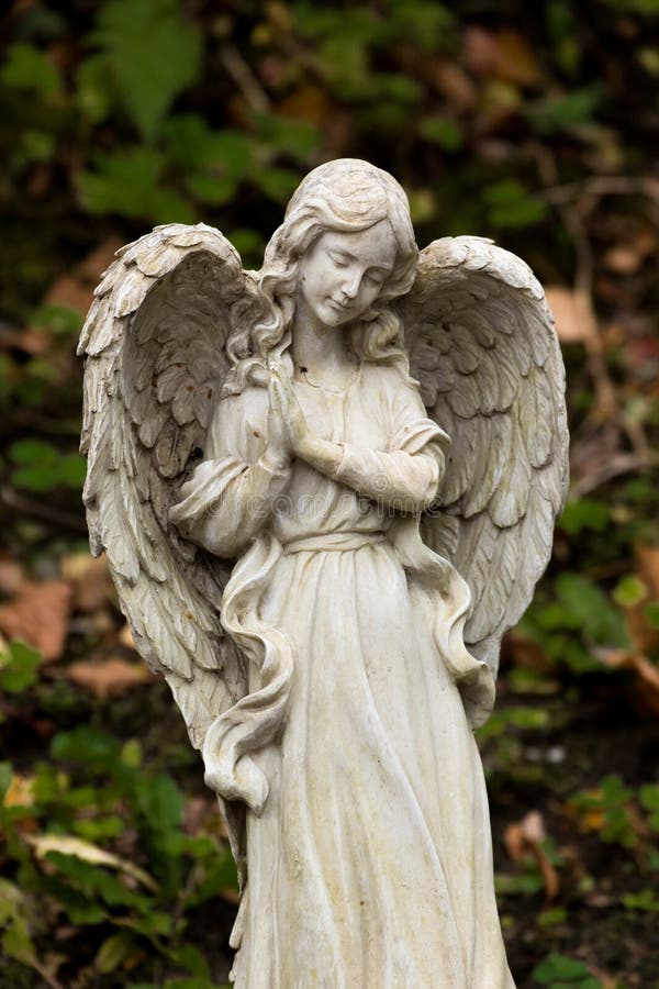 Angel stock image. Image of praying, angel, pick, thinking - 102330799