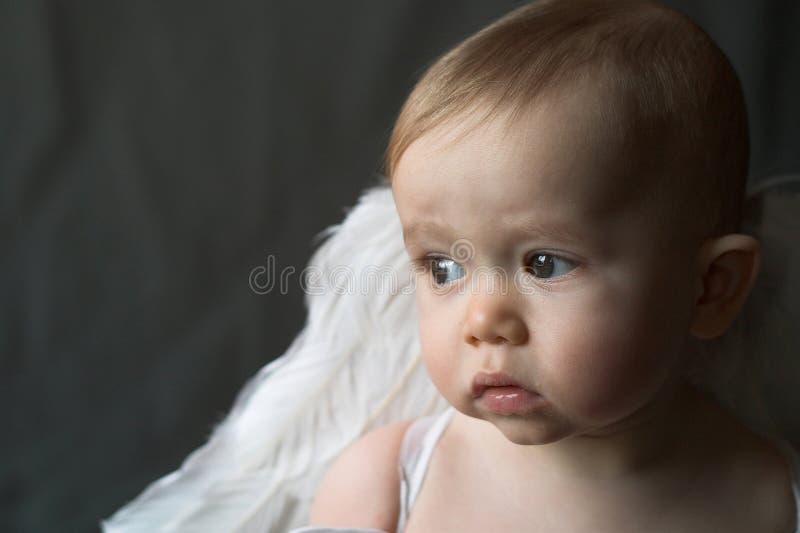 Angel Baby stock photo. Image of infant, angelic, angel - 1878718