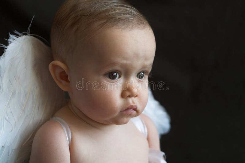 Angel Baby stock photo. Image of baby, innocent, cherub - 1904476