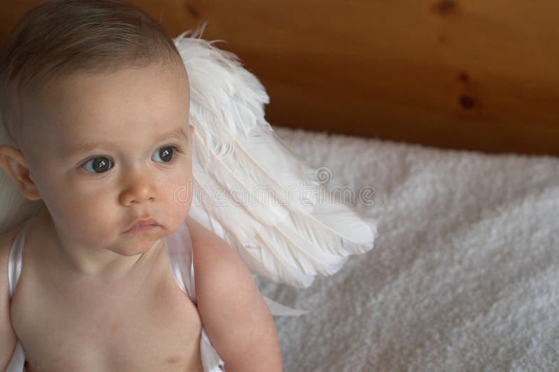 Angel Baby Picture. Image: 1925897
