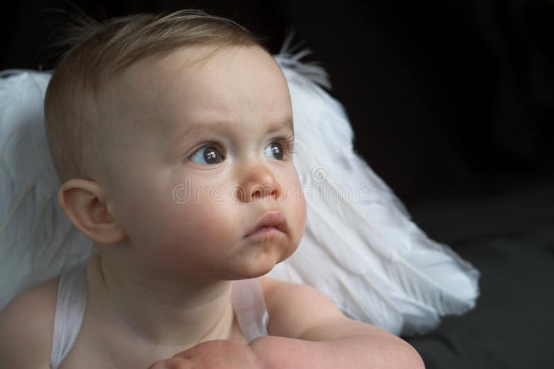 Angel Baby stock image. Image of beautiful, feather, handsome - 1936069