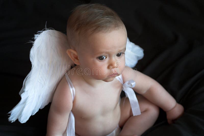 Angel Baby stock photo. Image of cupid, cherubic, baby - 2155512