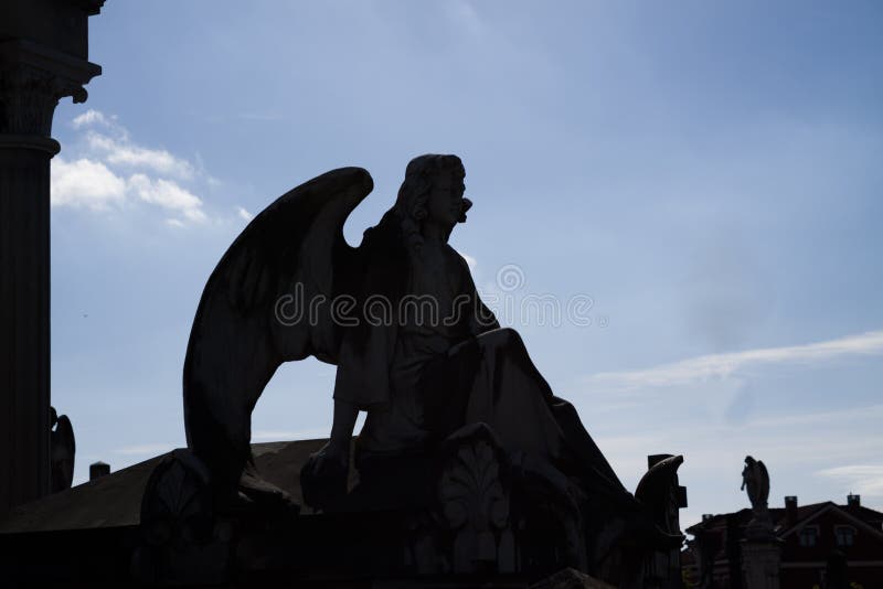 Backlight Esculture Stock Photos - Free & Royalty-Free Stock Photos ...