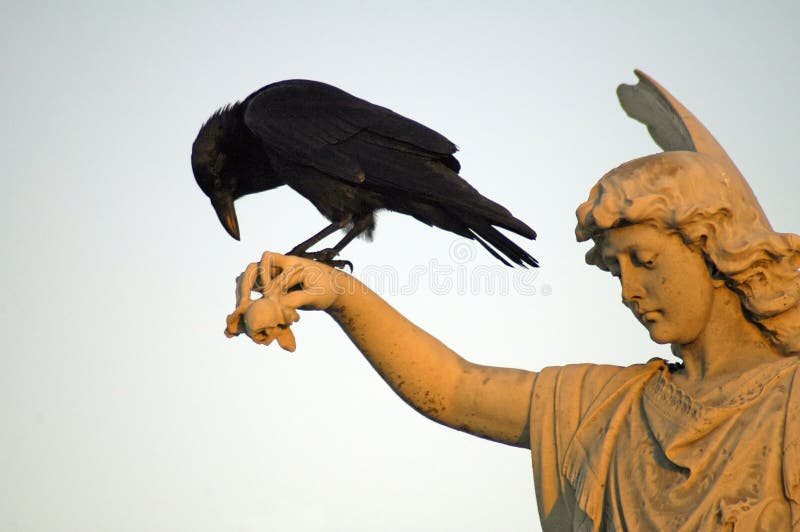 Angel and crow stock image. Image of graveyard, dead, monument - 4164749