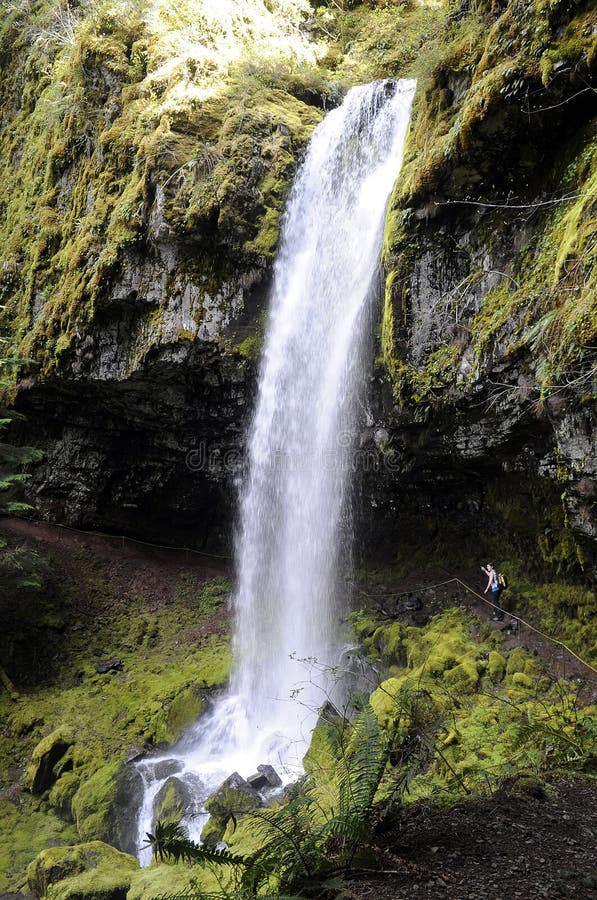 Angel Falls, Cispus, Washington Stock Image - Image of rain, national ...