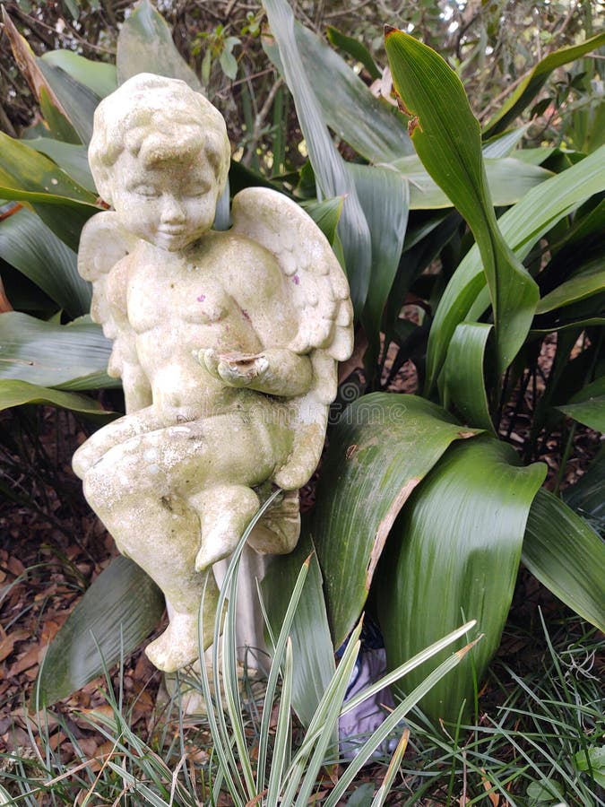 Angel in the Grass stock image. Image of jungle, angel - 202936555