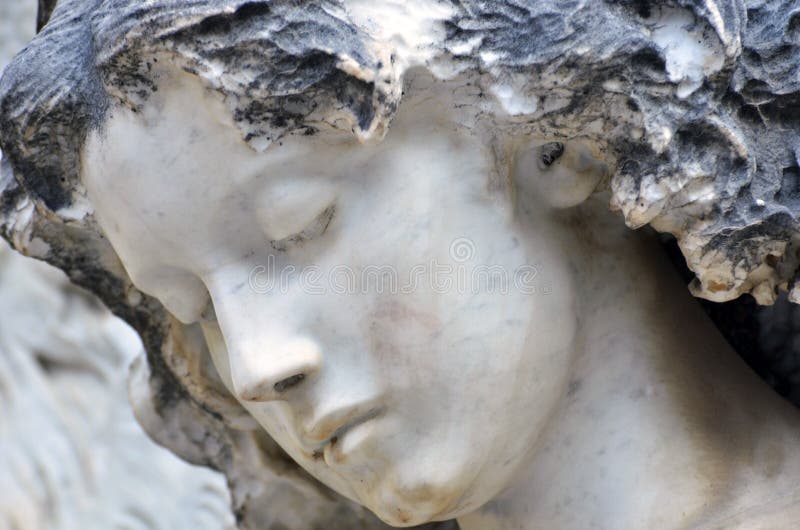 Angel head, close up stock image. Image of peace, garden - 27188605