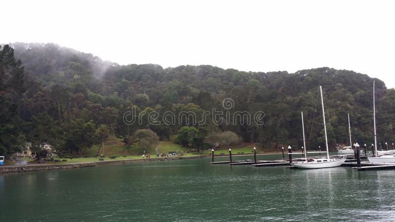 Angel Island, California stock photo. Image of fjord - 80288942