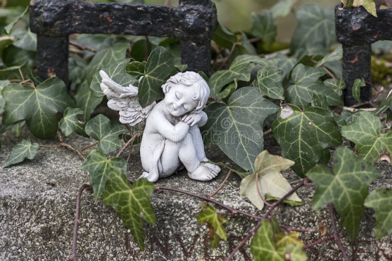 Angel and ivy leafs stock photo. Image of angel, death - 71047420