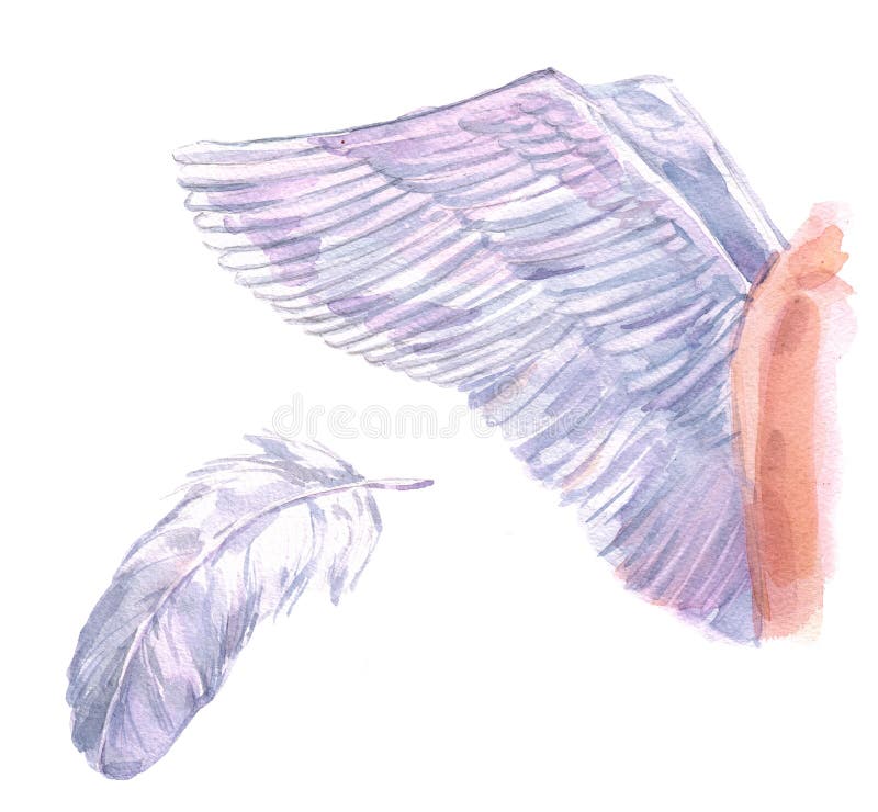 Angel Left Wing Stock Illustrations – 45 Angel Left Wing Stock ...