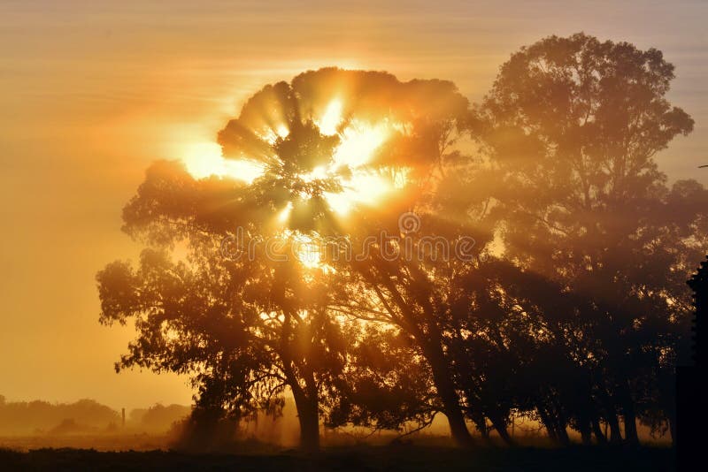 Angel light stock photo. Image of meadow, landscape, rural - 25992560