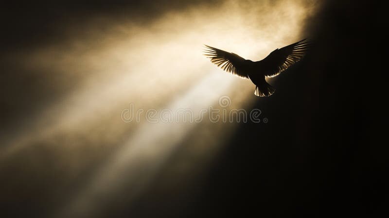 Angel light stock photo. Image of catholicism, apocalypse - 356408332