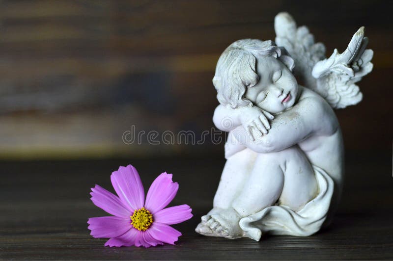 Angel and flower stock image. Image of religious, condolence - 102241071