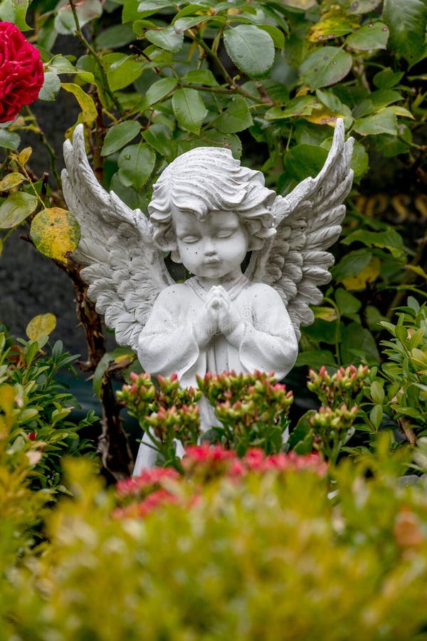 Angel stock image. Image of reading, trust, pick, contemplate - 102330125