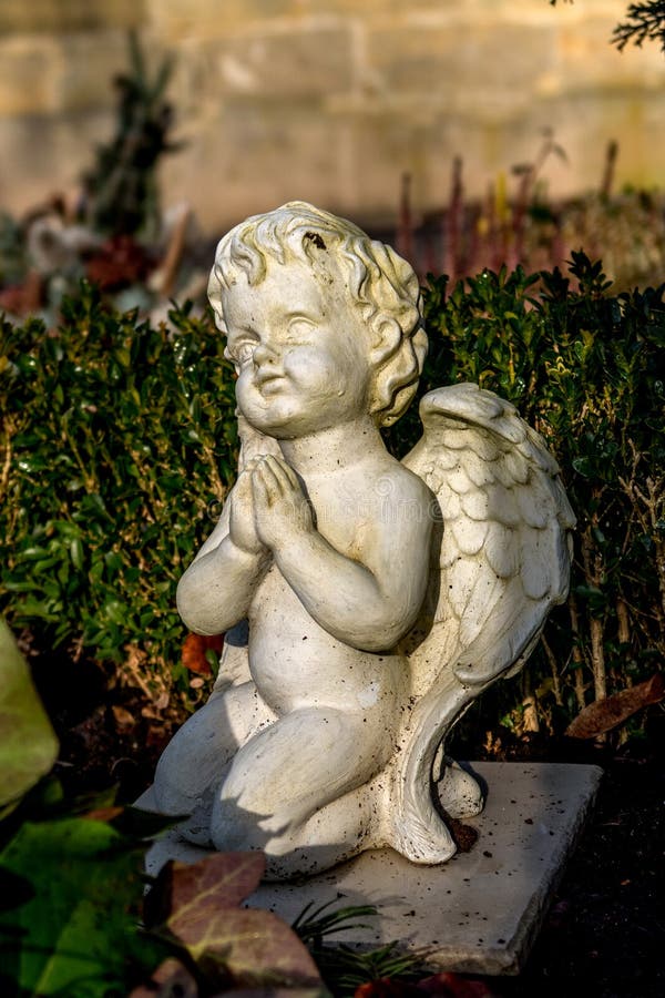 Angel praying stock photo. Image of glean, carefree, dreaming - 64251240