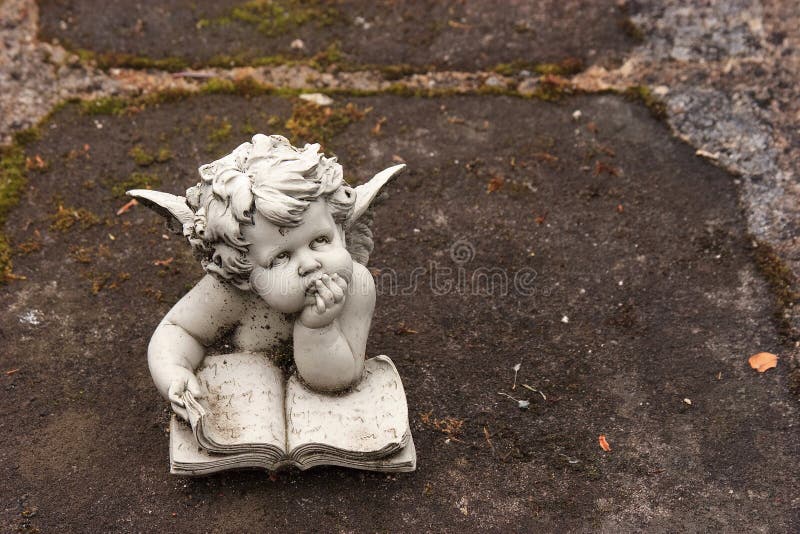 Angel reading a book stock image. Image of contemplate - 31307523