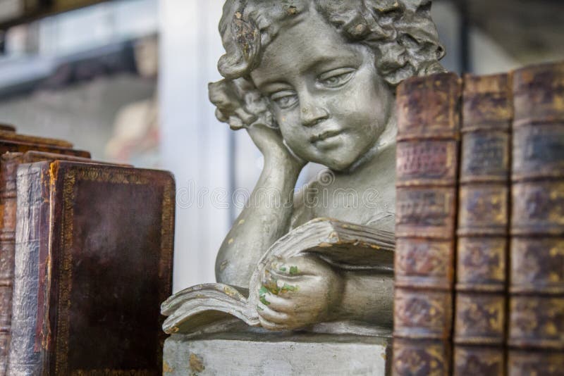 Angel reading a book stock image. Image of bird, trust - 106724273