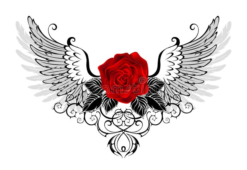 Angel Red Rose on White Background Stock Vector - Illustration of ...