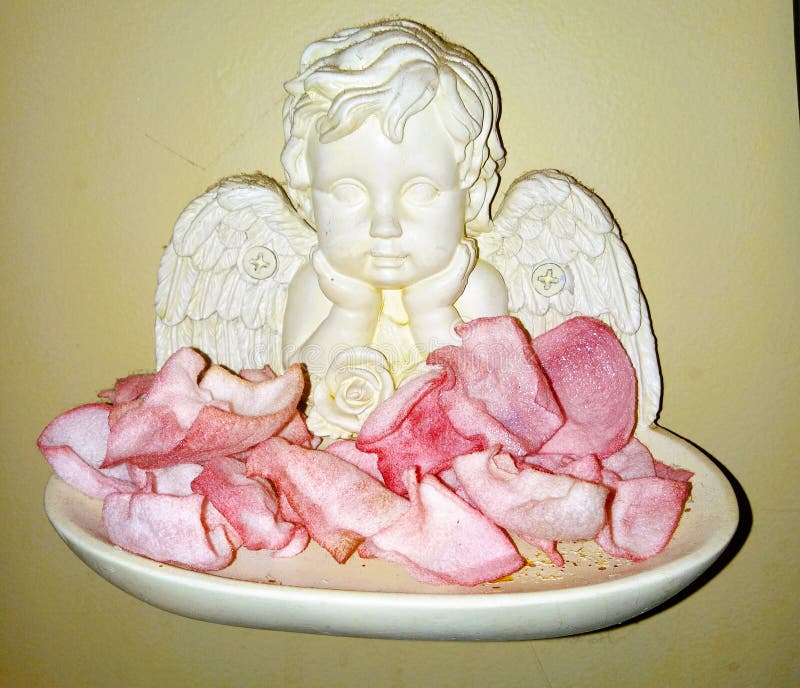 Angel rose dish stock photo. Image of petals, produce - 262550526