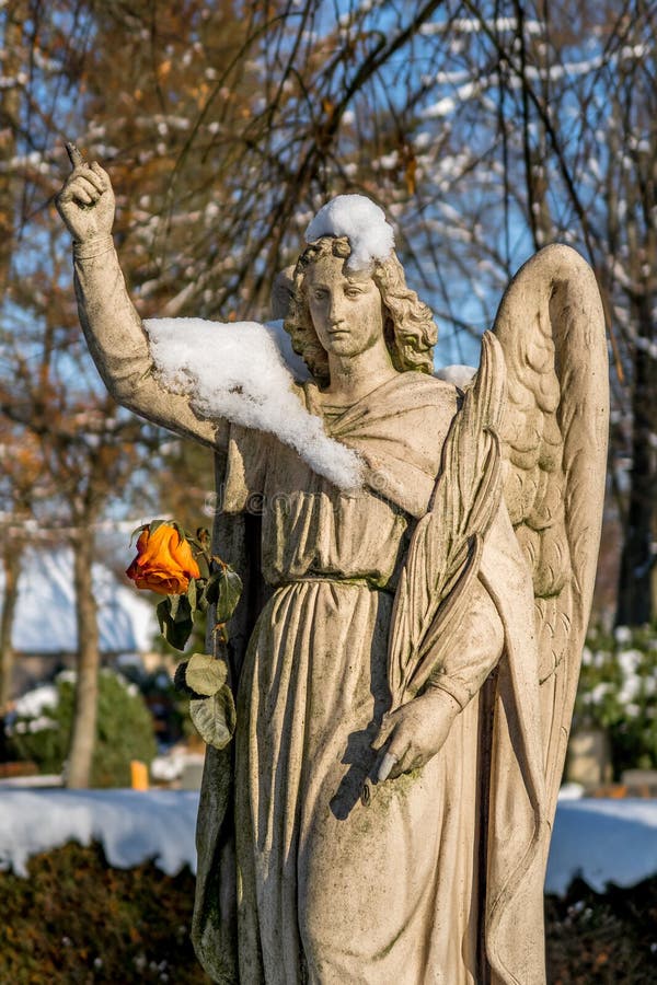 Angel with rose stock photo. Image of contemplate, beauty - 65868430