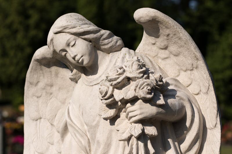 Angel with roses stock image. Image of sitting, glean - 64187571