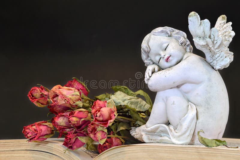 Angel and Roses on Old Book Stock Photo - Image of flower, bunch: 80807800