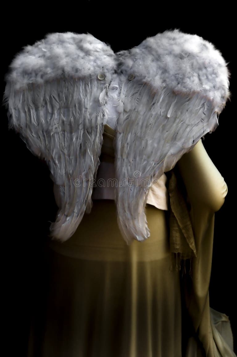 Shadow Woman Angel Wings Stock Photos - Free & Royalty-Free Stock ...