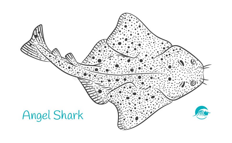 Angel Shark Coloring Pages