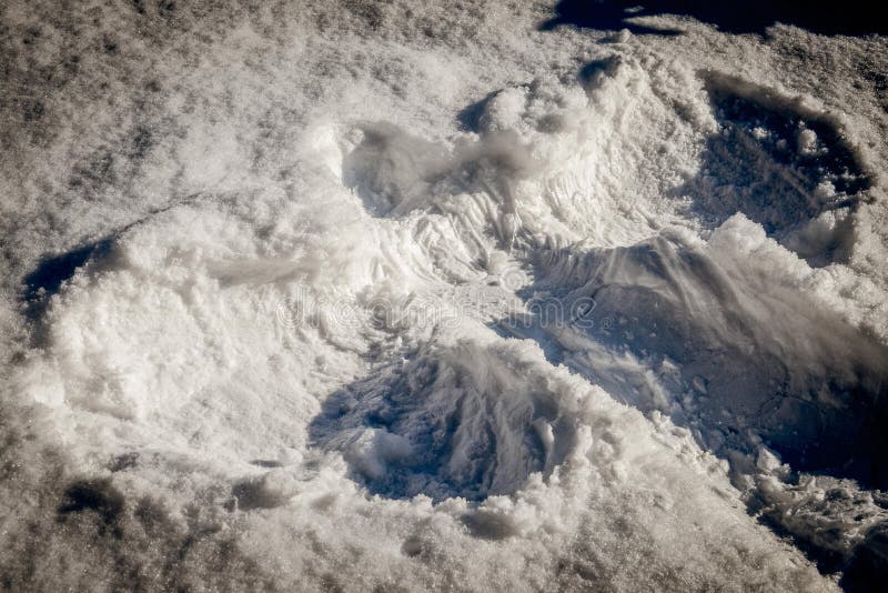 Angel in the snow. stock photo. Image of white, angels - 22315058