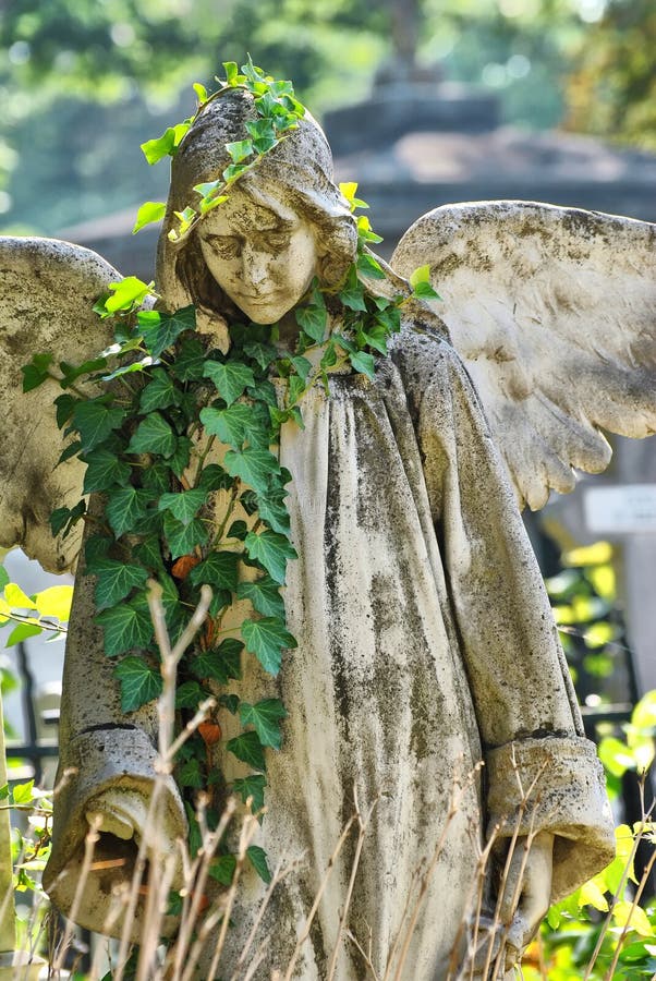 Angel statue with ivy stock photo. Image of depression - 40925018