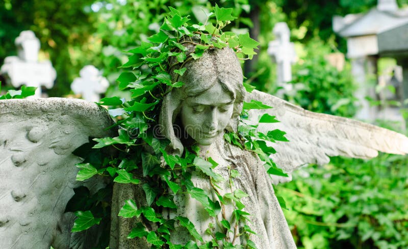 Angel statue with ivy stock photo. Image of depression - 40925018