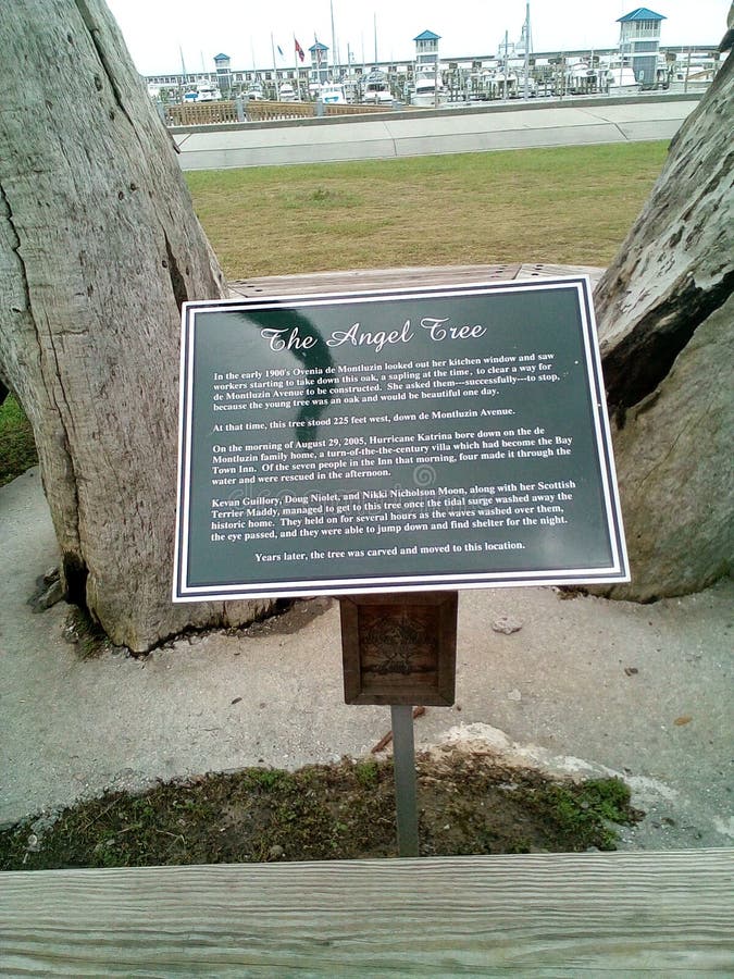 Angel Oak Tree Panorama stock photo. Image of pano, charleston - 89399322