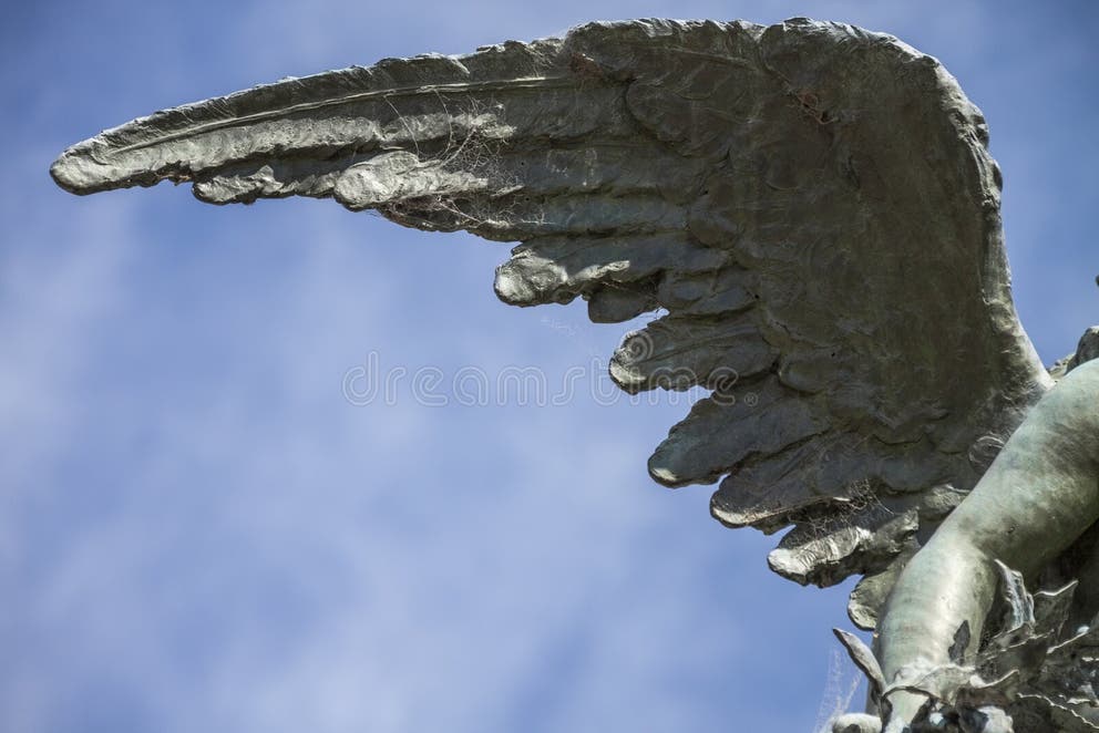 Angel wing stock image. Image of cemetery, cardboard - 52214941