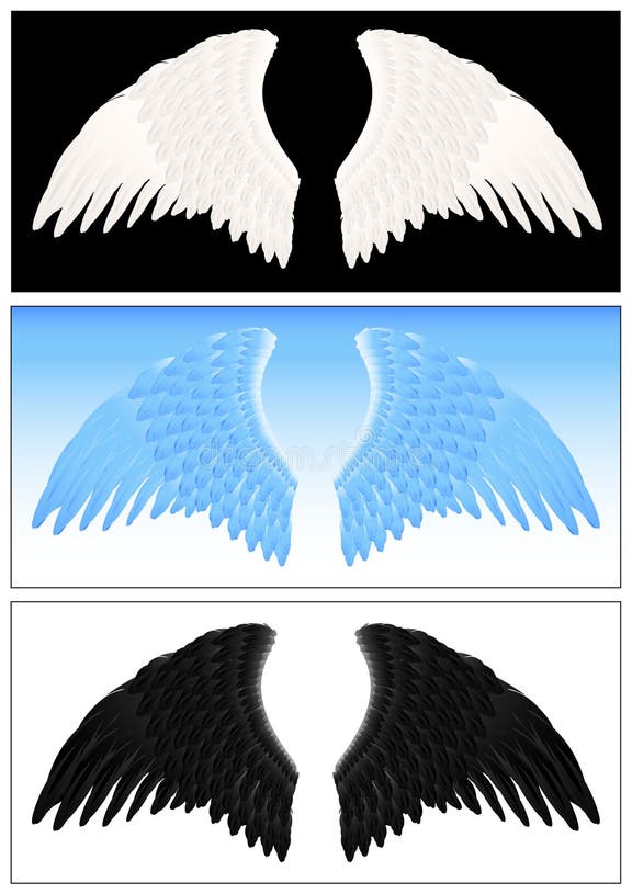 Angel wing set stock vector. Illustration of eagle, flap - 10098249
