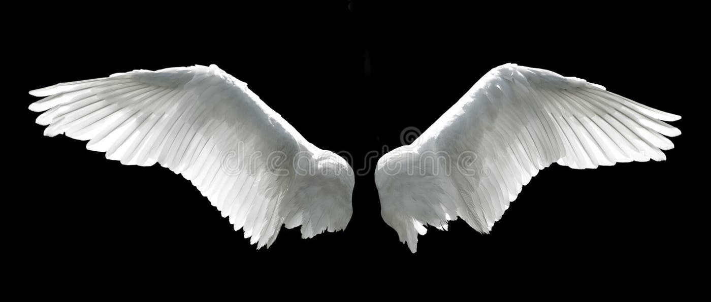 258,811 Angel Icland Stock Photos - Free & Royalty-Free Stock Photos ...