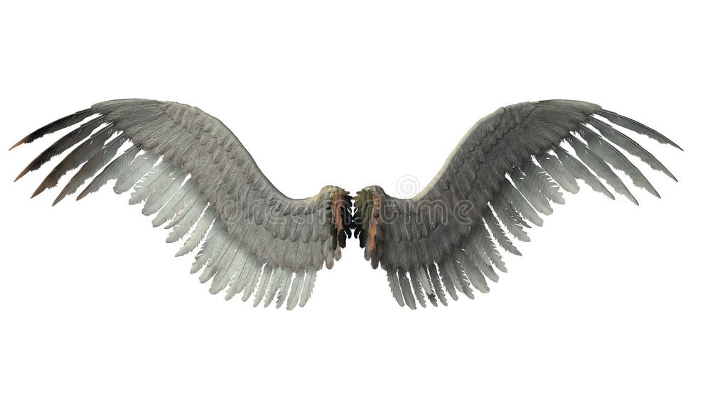 Angel Wings Horizontal Stock Illustrations – 606 Angel Wings Horizontal ...