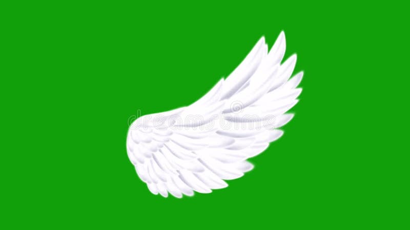 Angel Wings Green Screen Effect Stock Video - Video of drawing ...