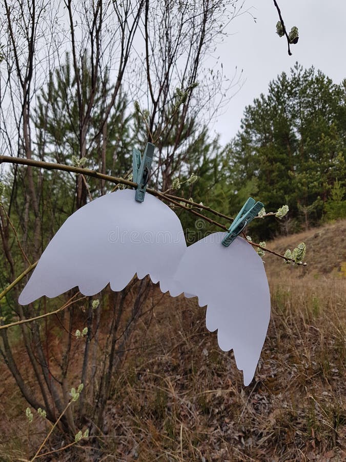 Angel Wings Hang on a Tree Against the Background Stock Image - Image ...