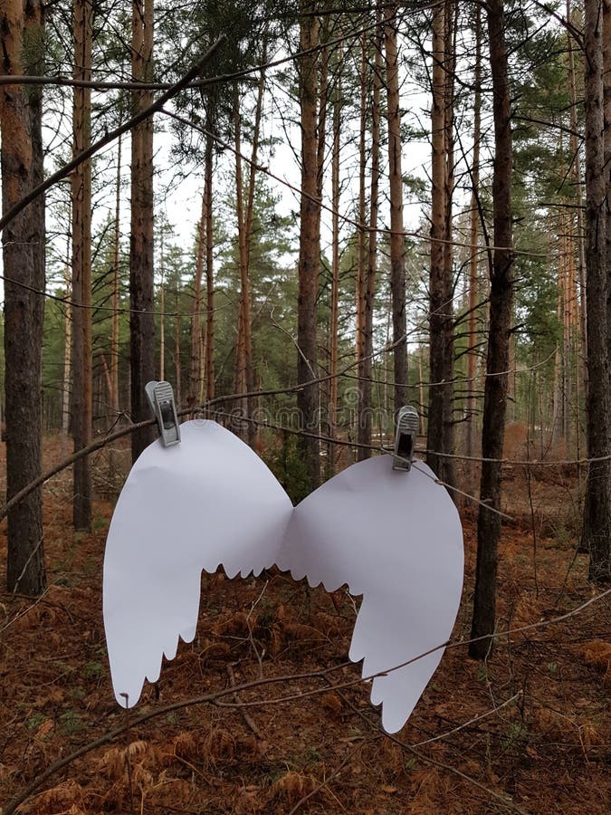 Angel Wings Hang on a Tree Against the Background Stock Image - Image ...