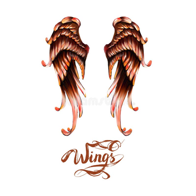Wings Drawing