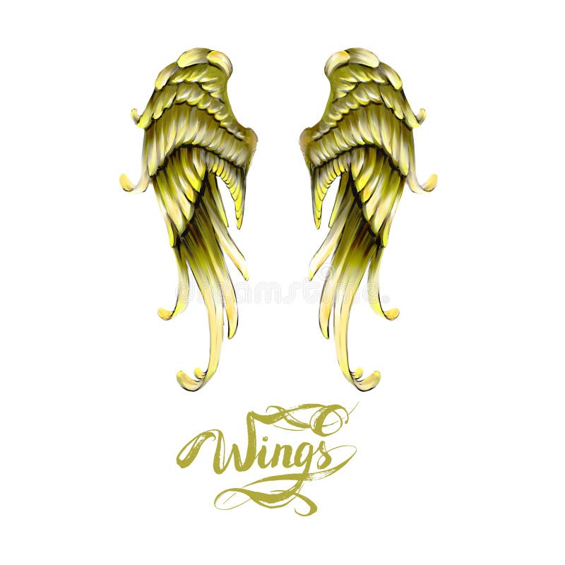 Wings Lettering Stock Illustrations – 8,157 Wings Lettering Stock ...